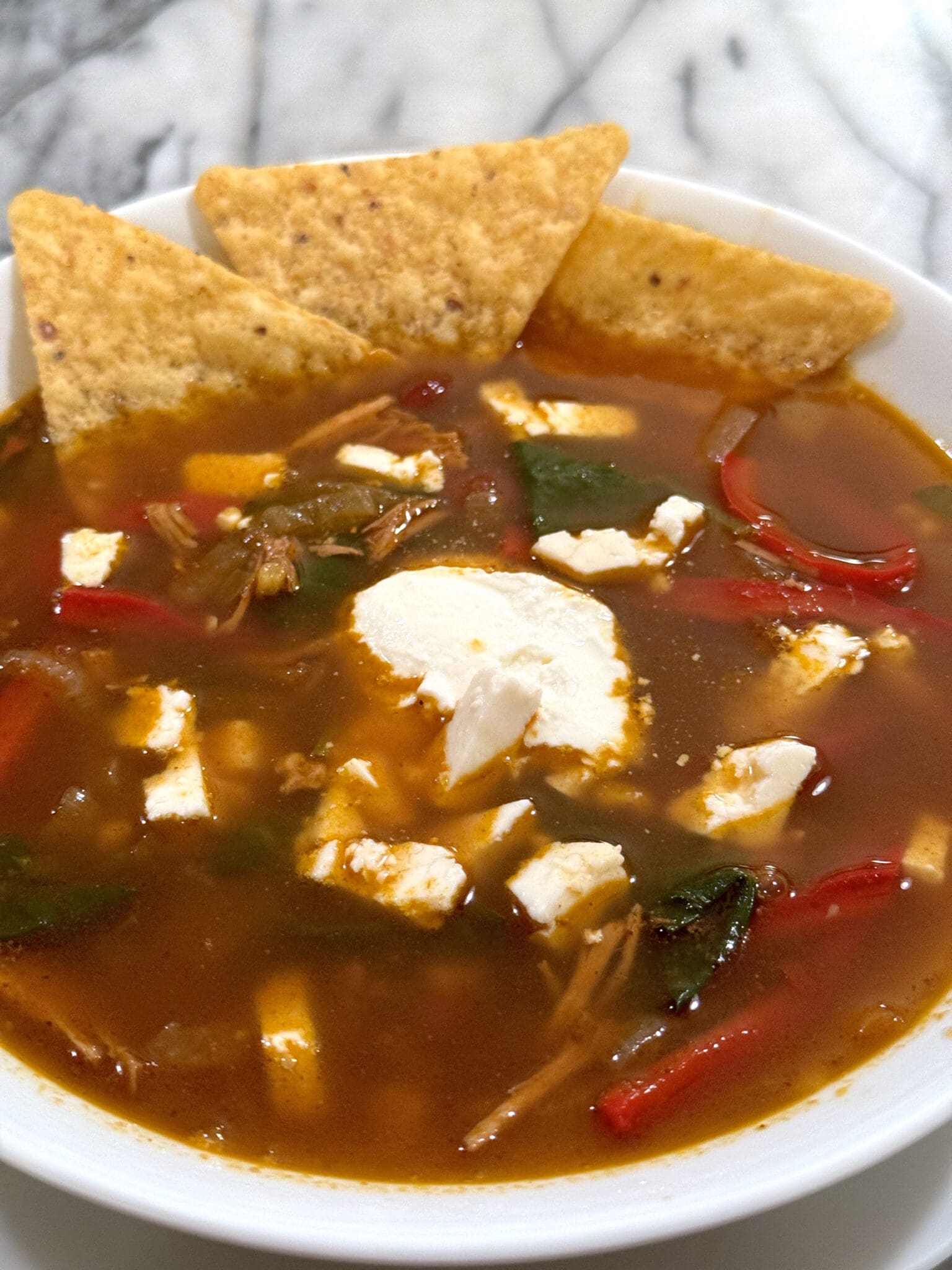 CHICKEN MOLE SOUP - The Katz Tales